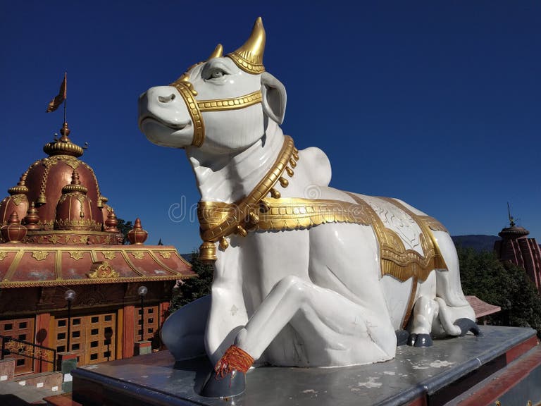 Nandi stock photo. Image of front, nandi, nandiswara - 133897382