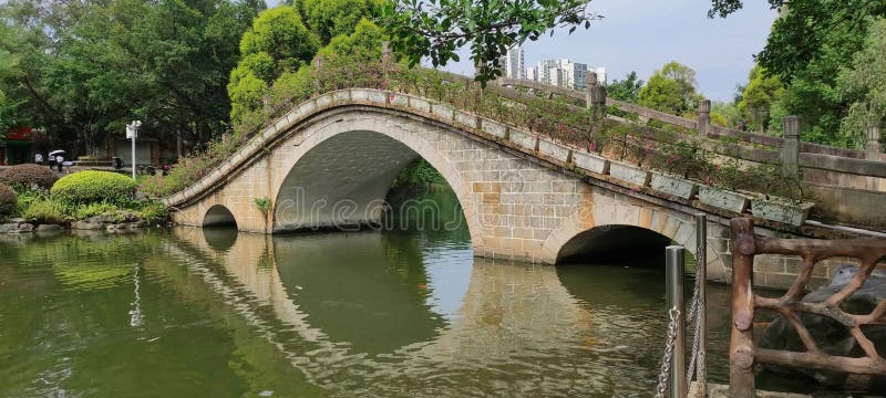 Nanning Zoo Stock Photos - Free & Royalty-Free Stock Photos from Dreamstime