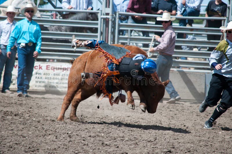 Cowboy at the Nanton Night Rodeo, August 1, 2011 Editorial Stock Image ...
