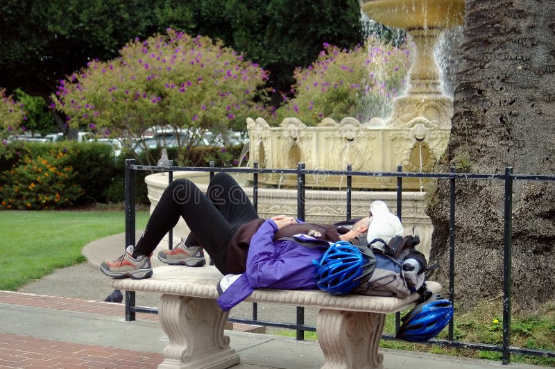 Nap Time stock image. Image of bench, exhausted, sleep - 359571