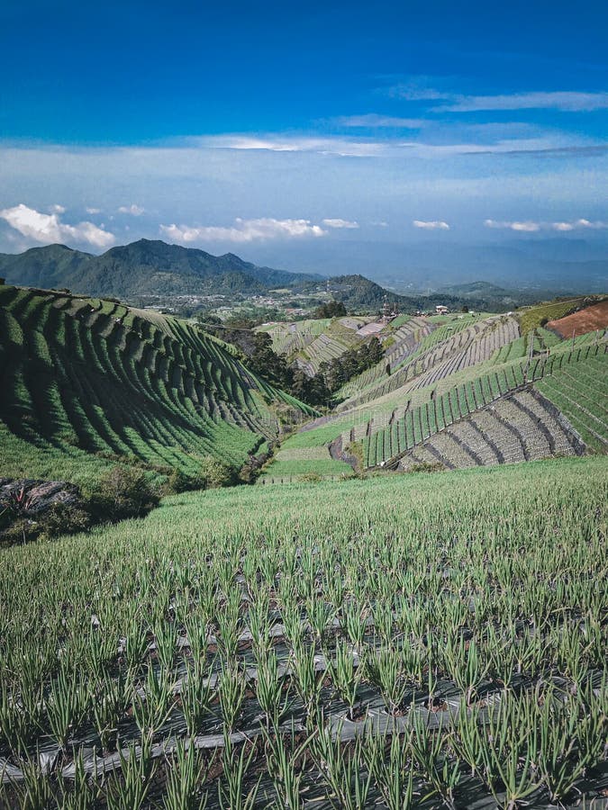 Nap time stock image. Image of time, search, inspiring - 221957303