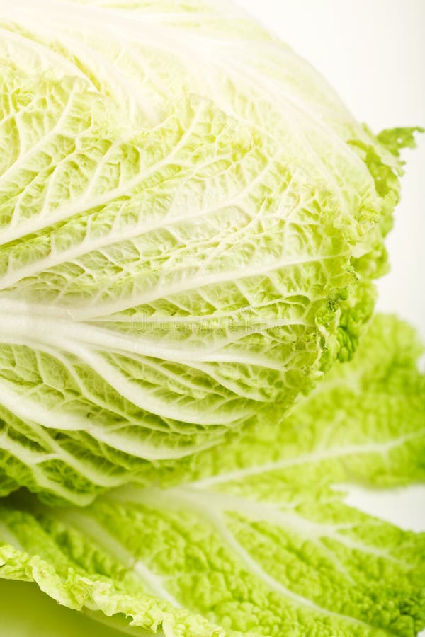 Napa cabbage stock image. Image of leaf, asian, cabbage - 11336993