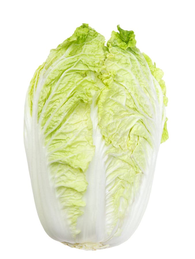 Napa Kohl, Getrennt Auf Weiß Stockfoto - Bild von kohl, mittagessen ...