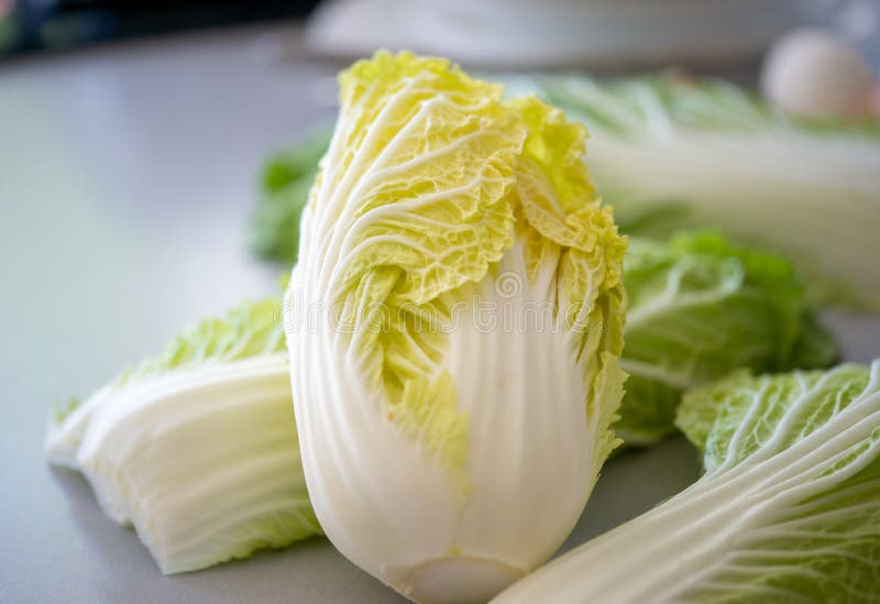 Napa or Nappa Cabbage is a Type of Chinese Cabbage Stock Image - Image ...