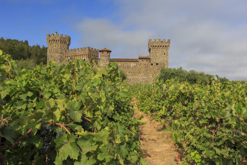 Napa Valley Vineyard and Castle Stock Image - Image of leaves, lush ...