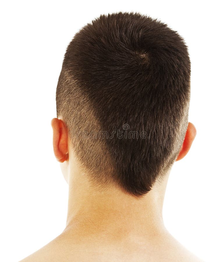 Mans bald head stock photo. Image of father, people, help - 3883728