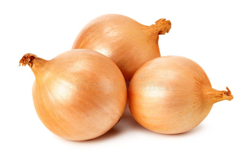 424 Napiform Stock Photos - Free & Royalty-Free Stock Photos from ...