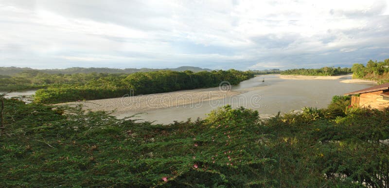 The Napo River in Amazon stock image. Image of river - 349383709