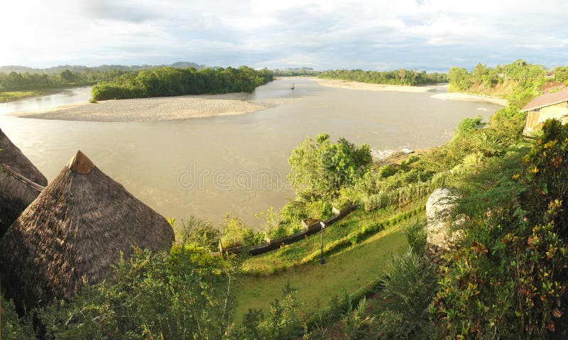 The Napo River in Amazon stock photo. Image of amazon - 349383718