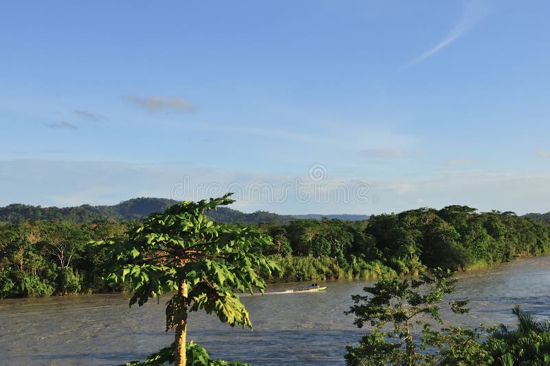 Napo River and Amazon Rainforest at Sunset Stock Image - Image of ...