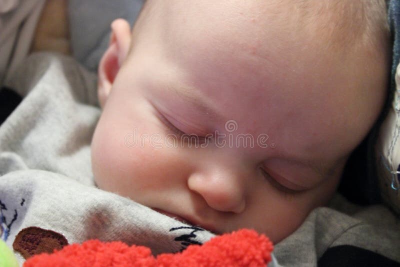 Napping stock image. Image of baby, eyes, dreaming, sweet - 38015867