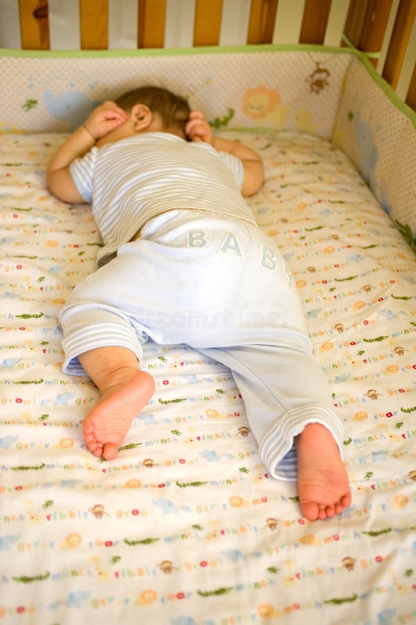 Naptime stock image. Image of jungle, sleeping, pure - 28605465