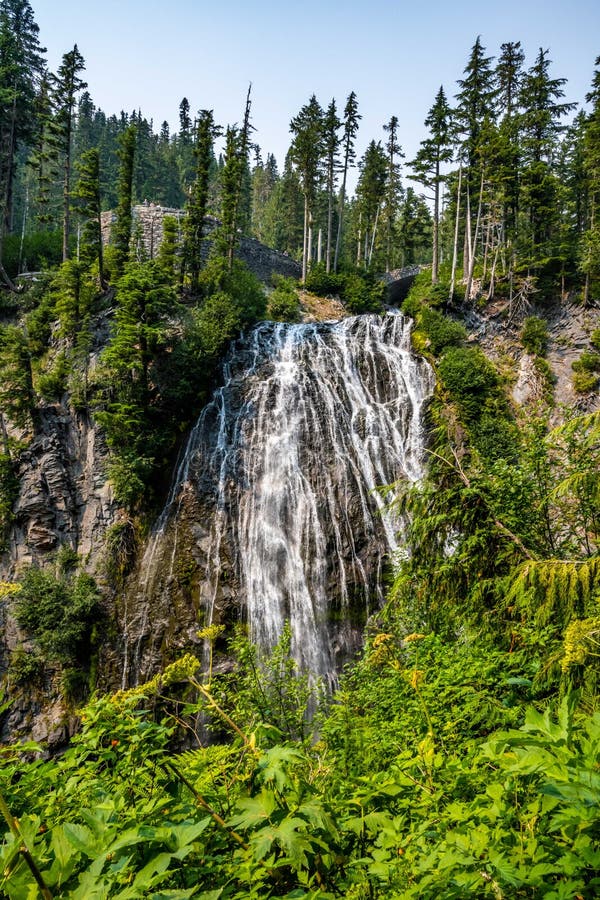 The Narada Falls in Mt Rainer NP, Washington Stock Image - Image of national, path: 245349577
