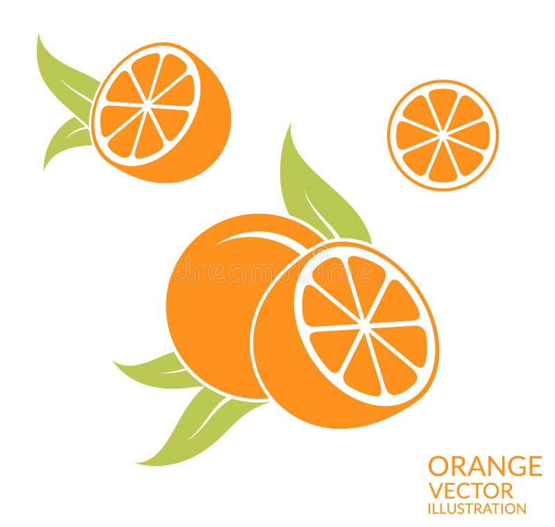 Naranja Fruta En El Fondo Blanco Ilustración del Vector - Ilustración ...