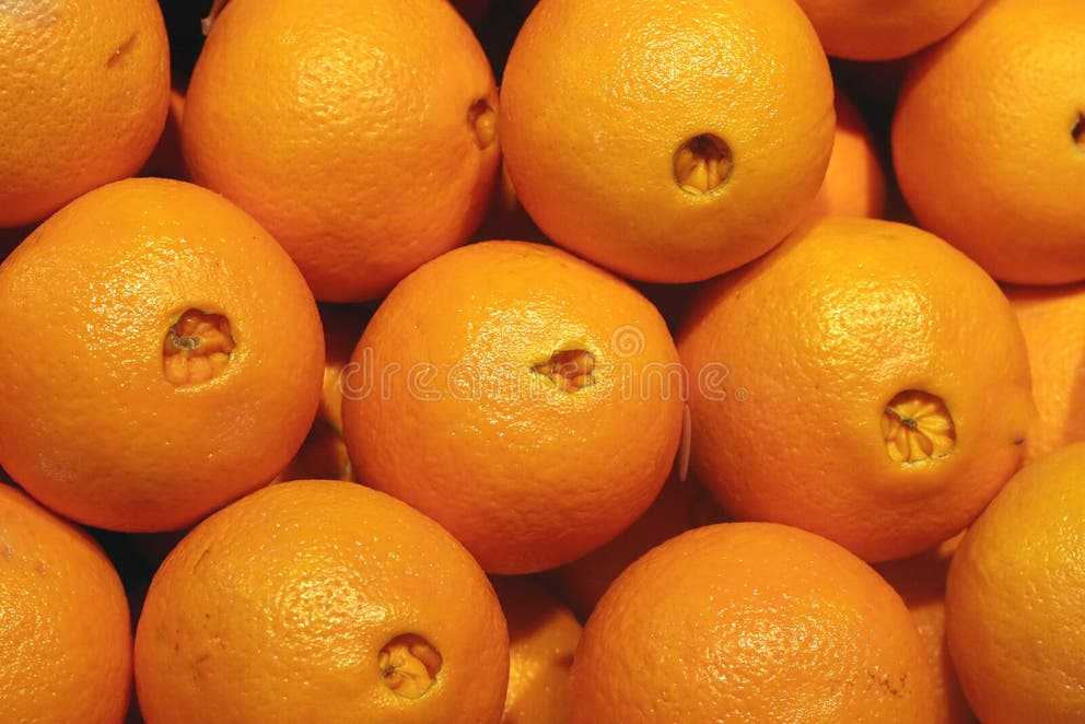 Naranjas navales imagen de archivo. Imagen de sano, alimento - 3258439
