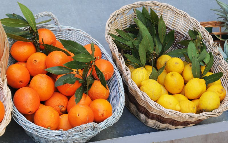 Limones Y Naranjas Aislados Imagen de archivo - Imagen de citrus ...