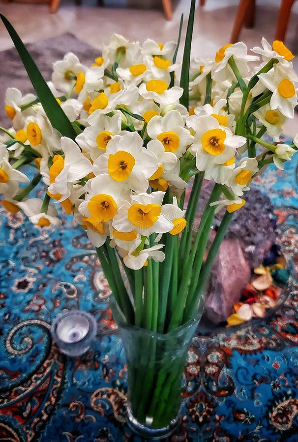 Narges Flower Photography Close Up Stock Image - Image of narges, close ...