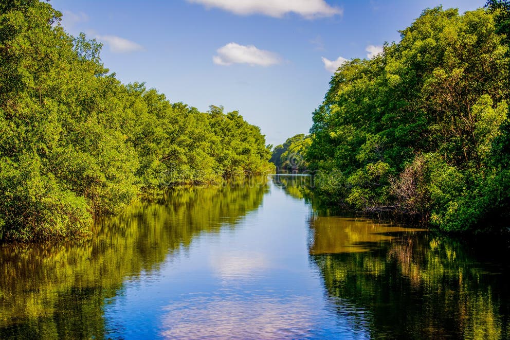 Nariva River stock photo. Image of swamp, nariva, cloud - 54423768