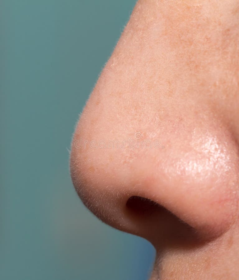 Nariz humana foto de archivo. Imagen de piel, nariz, muchacha - 34999944