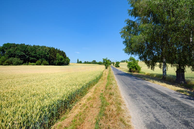 Narrow Asphalt Road with Fields Stock Image - Image of cloudless, clean ...