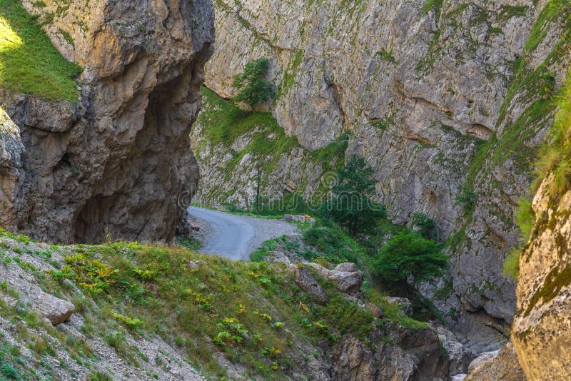 Narrow Asphalt Road in the Gorge Stock Image - Image of cliff, empty ...