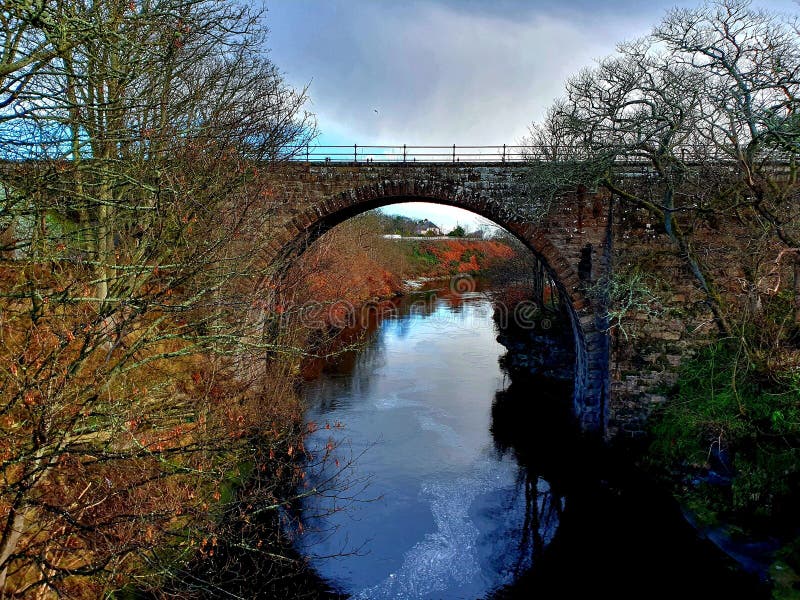 Narrow Bridge Surrounded by Trees Leading To Stilt Houses on the Water ...