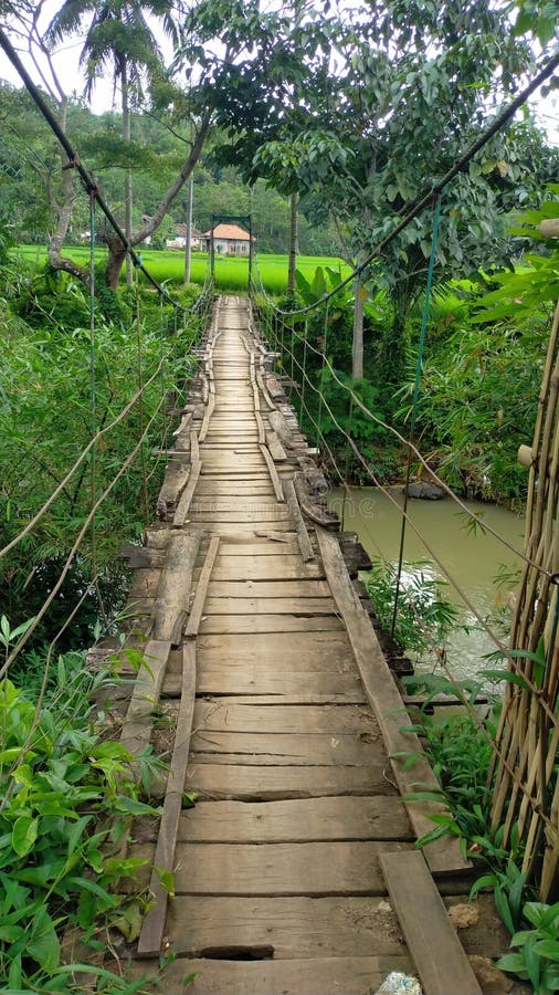 Narrow Bridge for Crossing People Stock Photo - Image of narrow, bridge ...