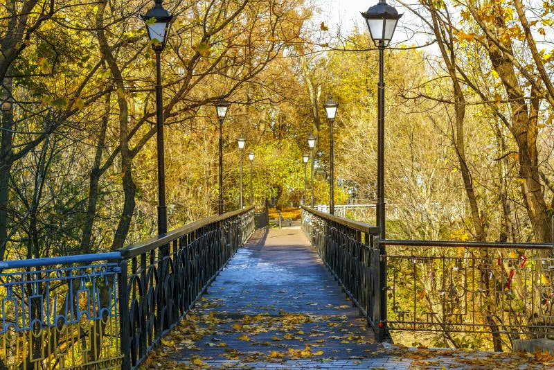 Narrow bridge stock photo. Image of visiting, trees - 103064578