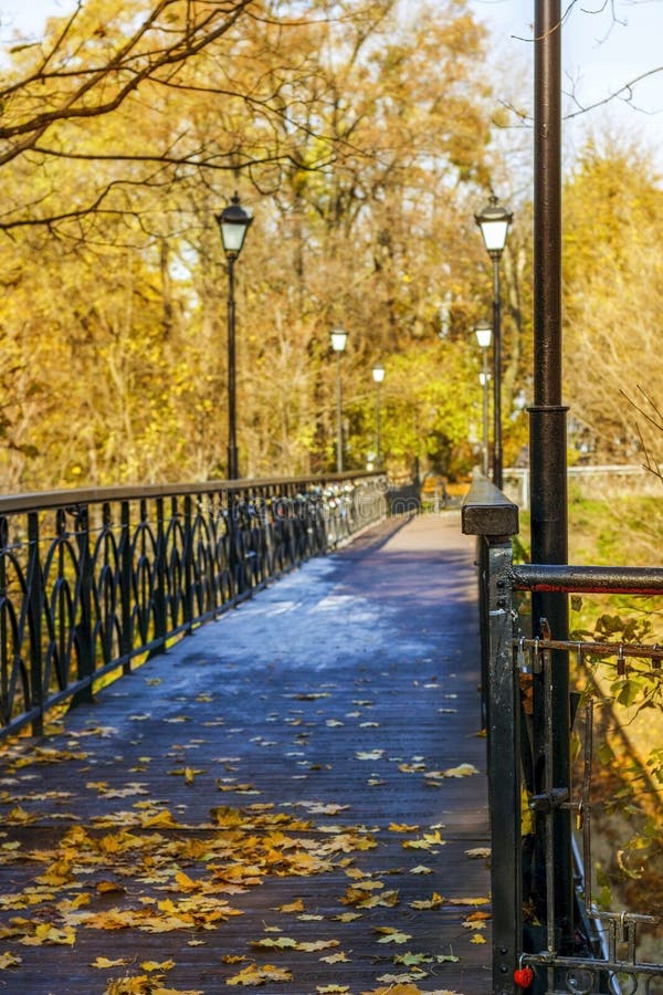 Narrow bridge stock image. Image of touristic, forest - 103064871