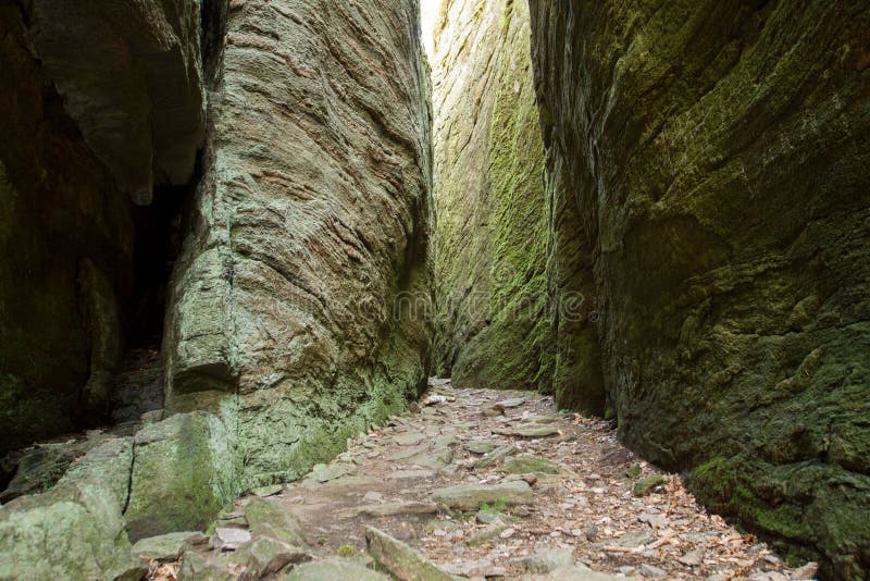 Narrow Canyon in Kungsbacka, Sweden Stock Image - Image of landscapes ...