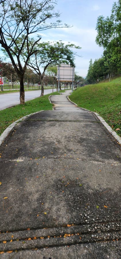Quiet Park Pathway Lined with Green Trees on a Serene Day Stock Image ...