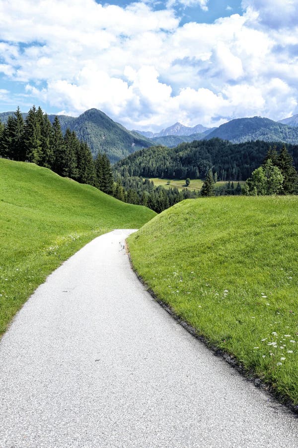 Narrow Curved Road between Grass Pastures in Austrian Alps Stock Photo ...