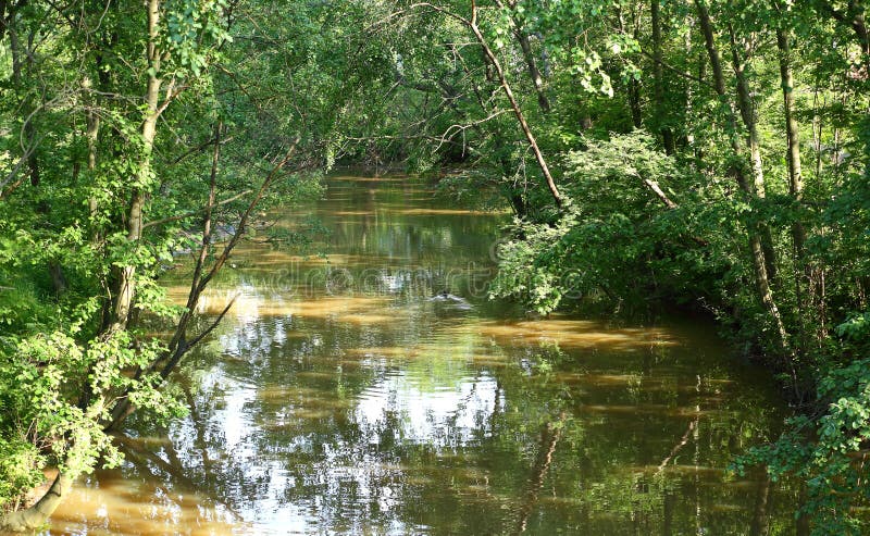 Wooded River In The Broken Dam Stock Image - Image of leaves, flowing ...