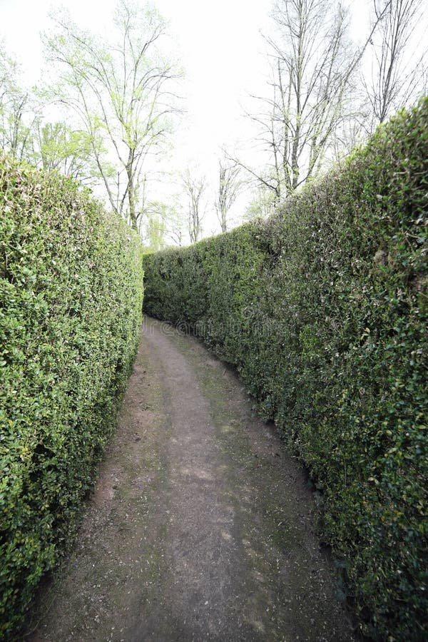 Narrow Dead End Street in an Intricate Maze Stock Image - Image of ...