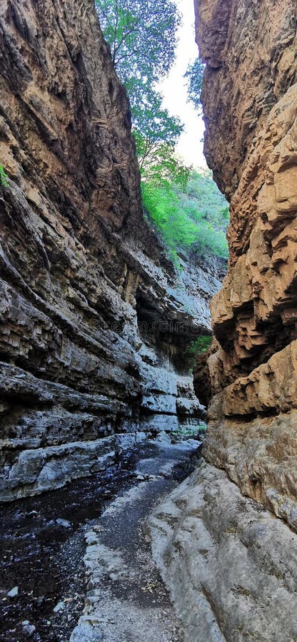 Gorge stock image. Image of valley, mountain, tree, badlands - 232100861
