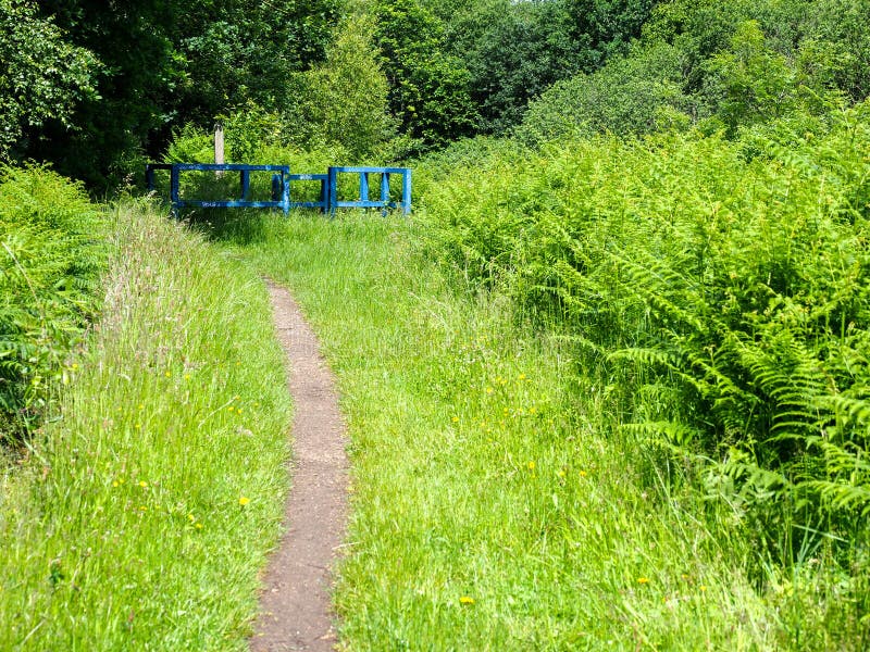 Narrow Dirt Path through Lush Greenery Leading To Blue Structure in ...
