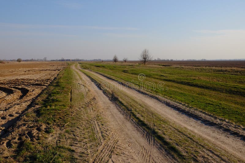 A Narrow Dirt Road in an Evening Field. Clear Blue Sky Over the Field ...