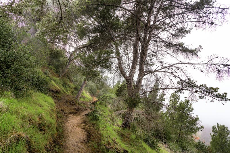 Nature Trail Lined with Greenery and Open Environment in a Beautiful ...