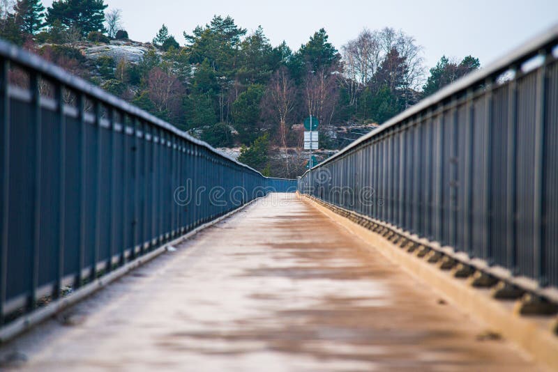 Narrow Foot Bridge by Tree Clad Cliffs.. Stock Image - Image of view ...