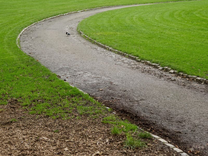 Foot Path in a Field. Sun Shines Over Mountains Peaks in the Background ...
