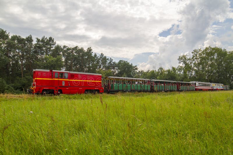 The Narrow-gauge Railway Goes through the Meadows Editorial Photo ...
