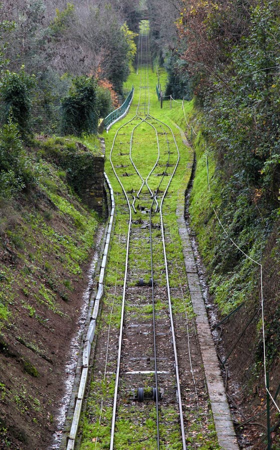 Narrow gauge track stock photo. Image of track, tracks - 20507560