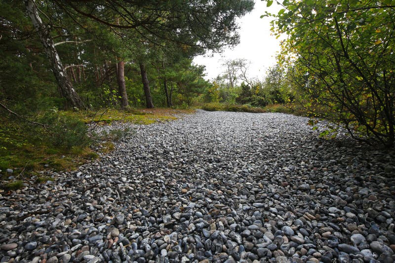 Narrow Heath with Flint Fields Stock Photo - Image of landscape, flints ...