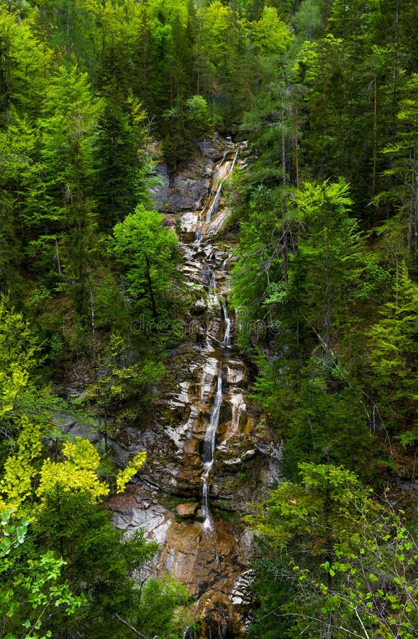 Narrow Waterfall through Mountain Forest in Austria Stock Photo - Image ...