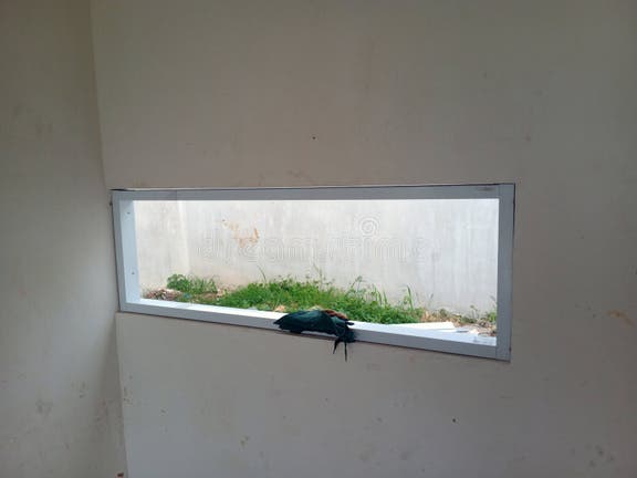 Narrow Horizontal Window on Unfinished Interior Wall Stock Image ...