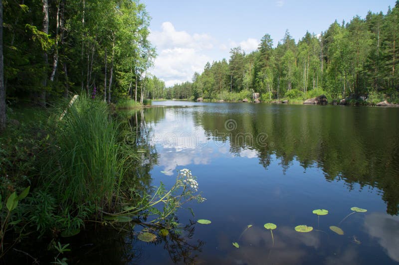 Narrow lake stock photo. Image of wood, reflection, forest - 57071182