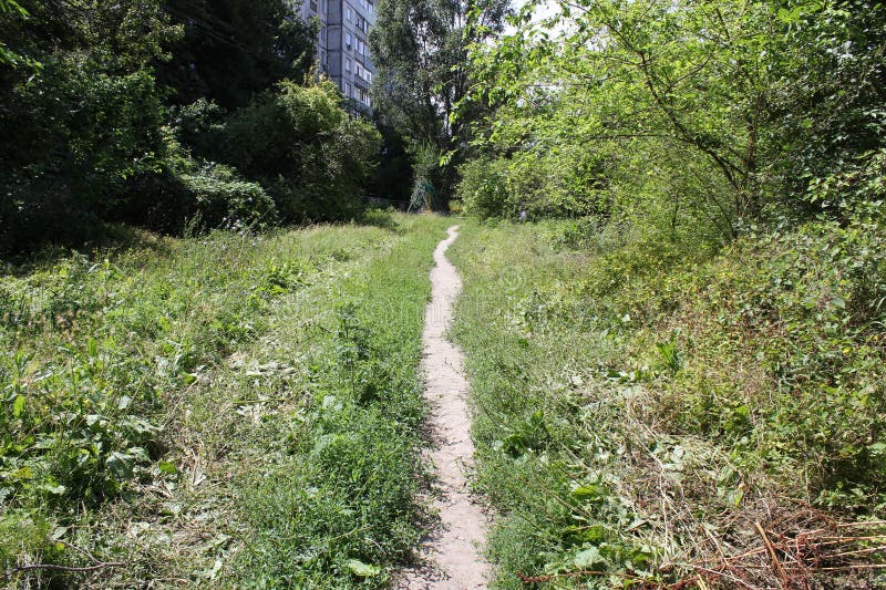 Narrow path through grass stock image. Image of long - 284460437