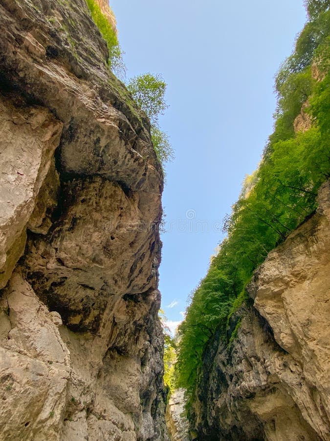 Narrow mountain gorge stock photo. Image of cliff, adventure - 229561742