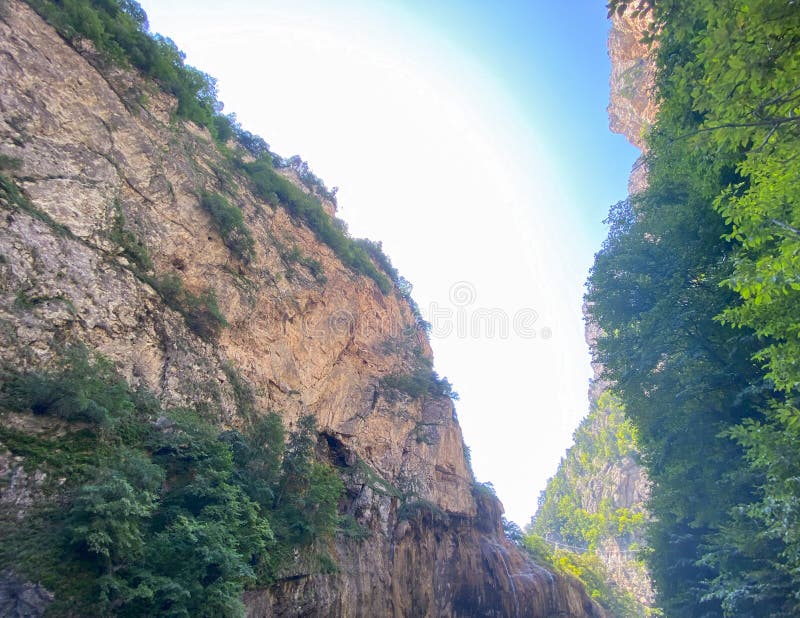 Narrow mountain gorge stock photo. Image of covered - 229560006