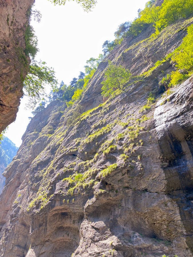 Narrow mountain gorge stock photo. Image of cliff, covered - 229560308